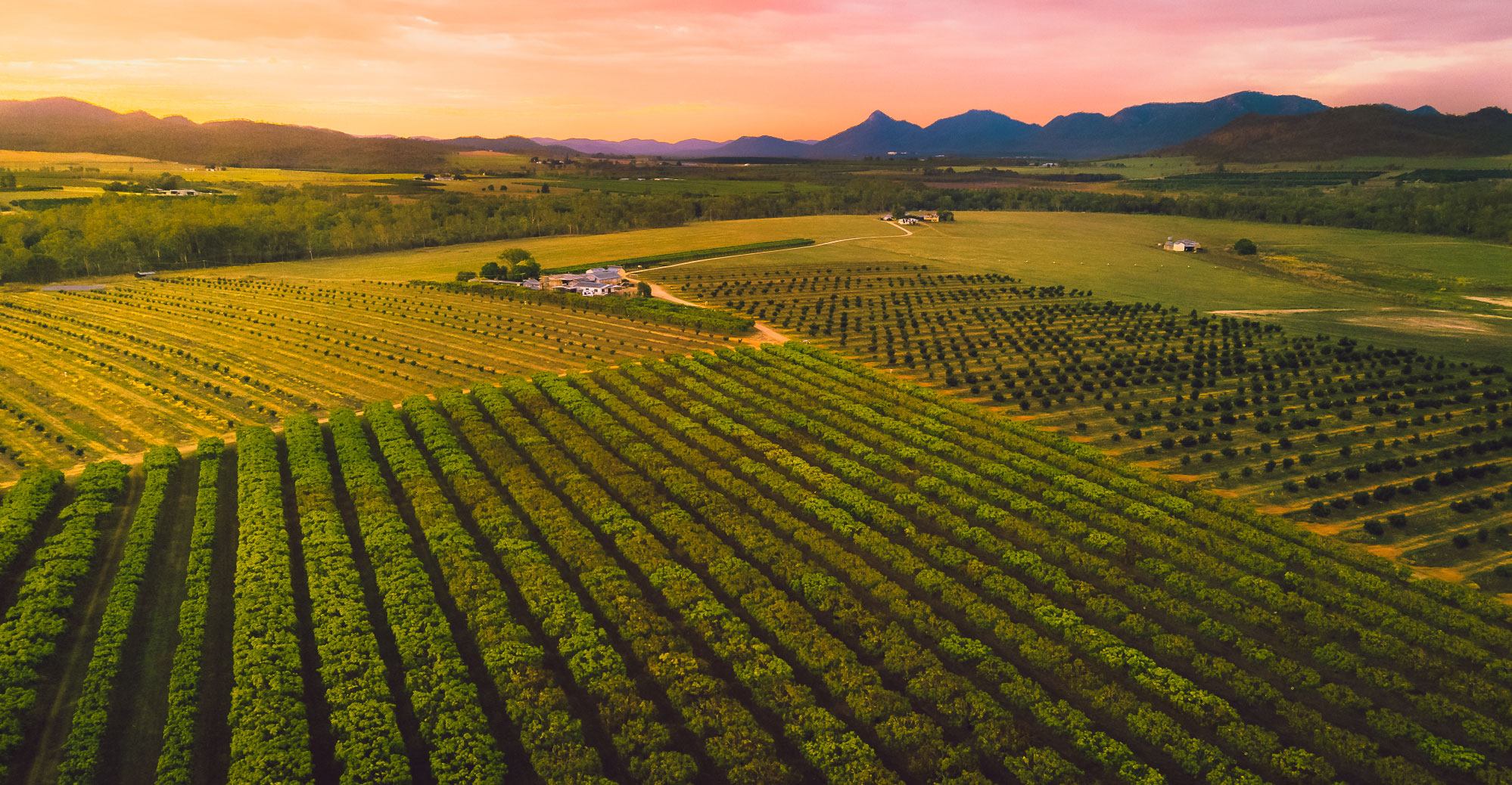 Premium Australian produce | Rocky Creek Orchards